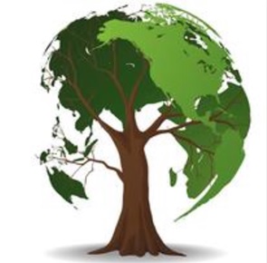 Social and Intrasocial Tools for Establishing a Global Commons, Joseph ...