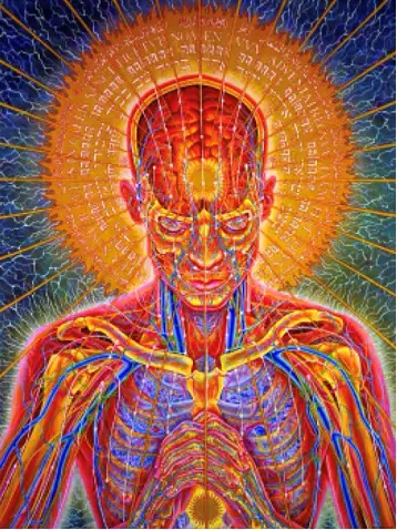 Questions Regarding Metamodernism, Joseph Dillard