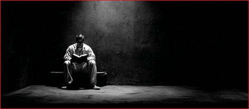 The Imprisoned Librarian, David Lane